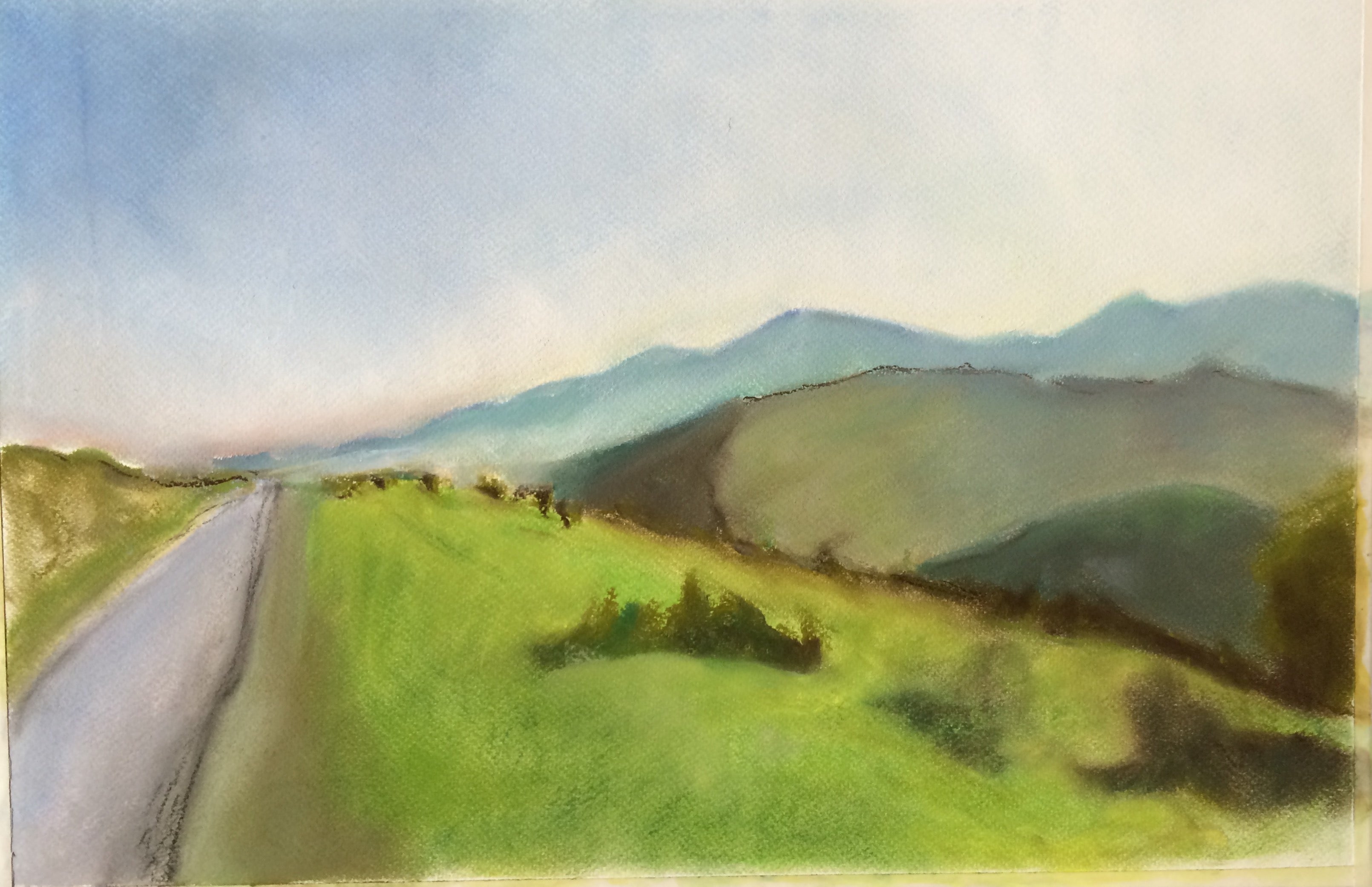 ROBIN LIEBERMAN therapeutic artist